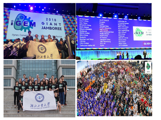 HBUT Successfully Participates in IGEM Competition-湖北工业大学（英文）